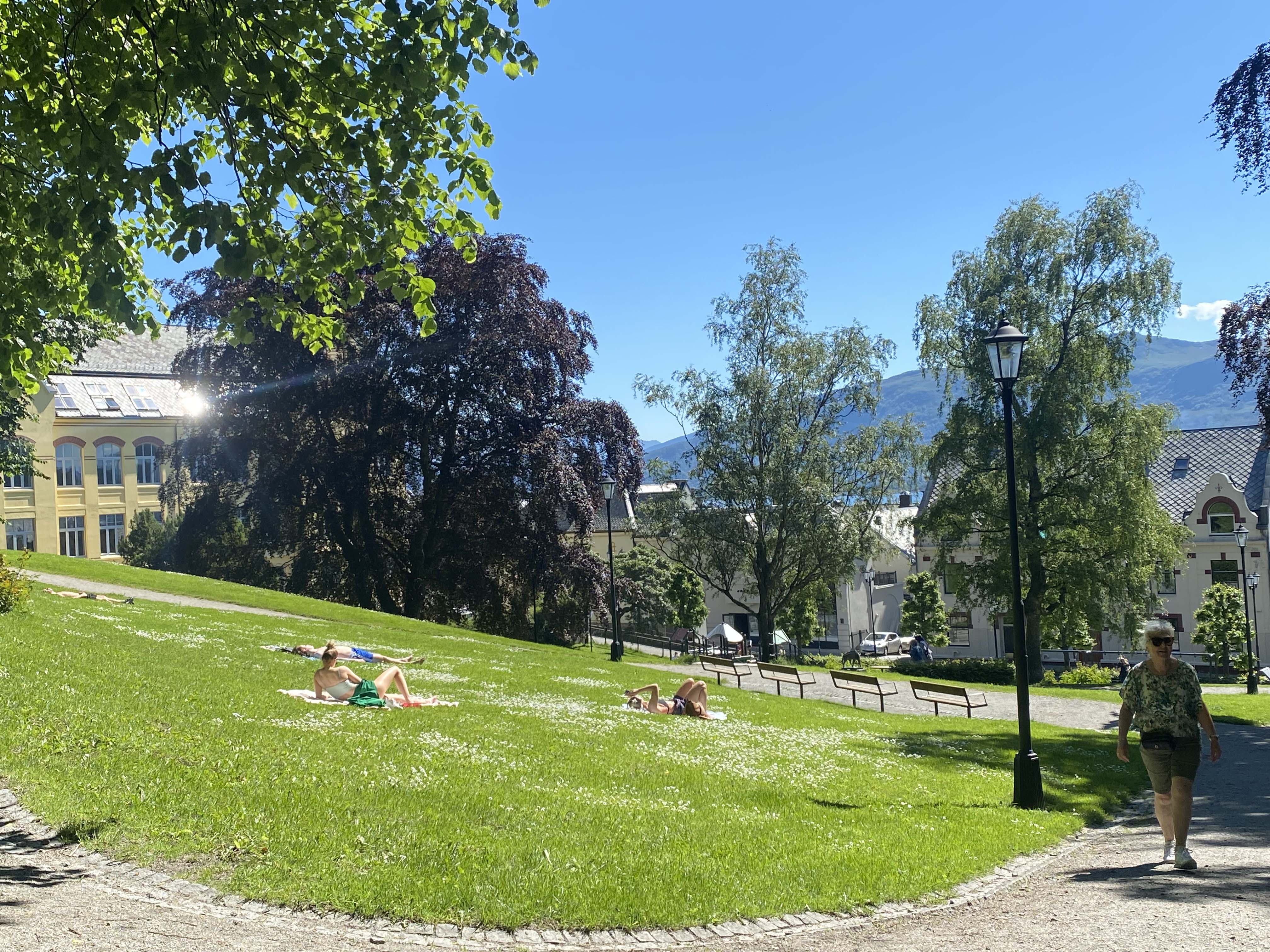 Unikt sommertilbud i Byparken | Bypatrioten